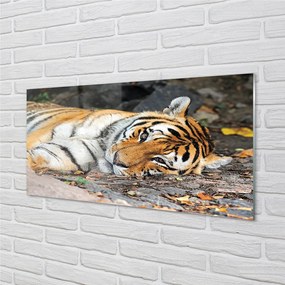 akrylový obraz ležící tygr 125x50 cm