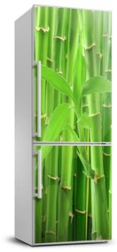 Wallmuralia Fototapeta nálepka na ledničku Bambusy 60x180 cm
