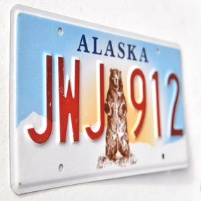 Americká SPZ Alaska Grizzly Bear JWJ 912