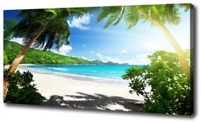 Wallmuralia Moderní fotoobraz canvas na rámu Seychely pláž 100x50