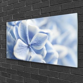 Obraz na skle Květiny Plátky Příroda 120x60 cm