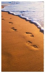 DIMEX | Vliesová fototapeta na zeď Stopy na pláži MS-2-0193  | 150 x 250 cm | hnědá, bílá