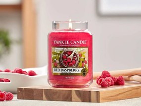 Yankee Candle – votivní svíčka Red Raspberry (Červená malina), 49 g