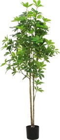 XXXLutz UMĚLÁ ROSTLINA bonsaj 150 cm Ambia Home - Umělé rostliny - 0039530142