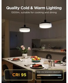 Govee - LED RGBICWW Stmívatelný lustr na lanku LED/21W/230V Matter Wi-Fi