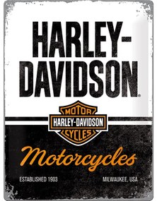 Postershop Plechová cedule: Harley-Davidson (Motorcycles) - 30x40 cm