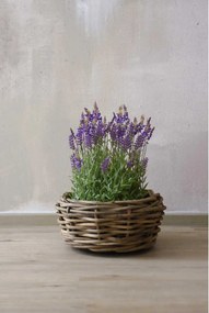 Přírodní květináč na rostliny BOJO, ratan, průměr 56 cm, natur