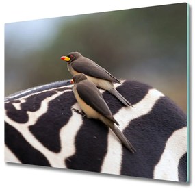 Skleněná krájecí deska Ptáci a zebra 60x52 cm