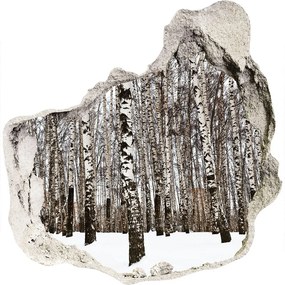 Wallmuralia Nálepka fototapeta 3D výhled Břízy zima 75x75 cm