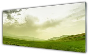 Plexisklo-obraz Louka Příroda Zelený Výhled 125x50 cm