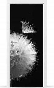 Fototapeta Nálepka dýha dveří skříně nábytek #SD020