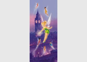 Dětská vliesová fototapeta na zed' Víly v Noci, Disney | 90 x 202 cm | DFTDNV 5424