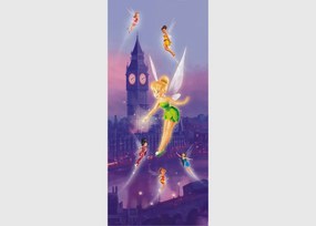 Dětská vliesová fototapeta na zed' Víly v Noci, Disney | 90 x 202 cm | DFTDNV 5424