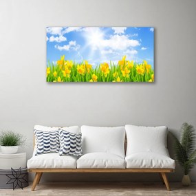 Obraz na plátně Narcisy Louka Tráva Příroda 125x50 cm
