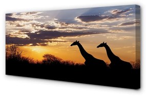 Obrazy na plátně Žirafy strom mraky 120x60 cm