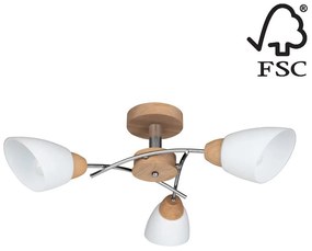 Spot-Light 8141374 - Přisazený lustr VILETTA 3xE27/60W/230V