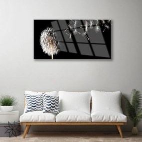 Obraz na skle Pampeliška Květ Kapky 140x70 cm