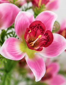 umělá květina, orchidej Cattleya, sada 10 ks, 33x10 cm, plast, růžová, Dekorino UK20260024