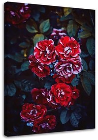Gario Obraz na plátně Červené květy na pozadí listů Rozměry: 40 x 60 cm