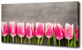 Wallmuralia Foto obraz na plátně do obýváku Růžové tulipány 100x50