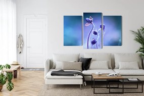 Vícedílný obraz Jemné Květiny V Makro Měřítku Nedostatek Nedostatek Plátno Canvas 90x60