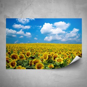 Plakát - Slunečnice na poli (60x40 cm) - PopyDesign