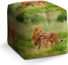 Sablio Taburet Cube Lev a lvice - 50x50x50 cm