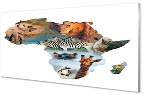 Obraz na skle Zebra žirafa tygr 120x60 cm