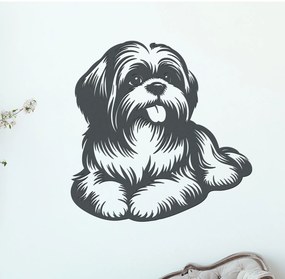dřevo života Dřevěný obraz ležícího Shih Tzu Zvolte rozměr (cm): 60x60, Zvolte barvu dekoru: Antracitová