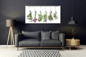 Plexisklo-obraz Plátky Rostlina Kuchyně 120x60 cm