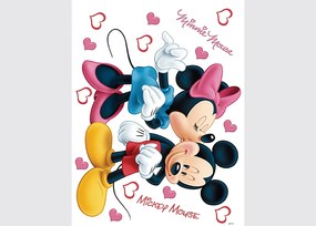 Dětská samolepka na zeď Minnie a Mickey, Disney | 42.5 x 65 cm | DDK 1753