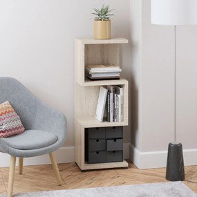 ADRK Furniture Regál MORI BS-MOI-S