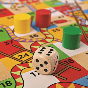 Bigjigs Toys Hadi a žebříky 2
