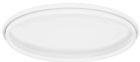 LED stropní svítidlo Willow R 60 bílé