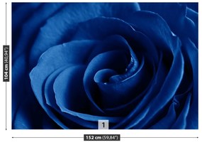 Fototapeta Modrá růže 104x70