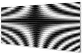 Obraz na skle zebra pruhy 125x50 cm