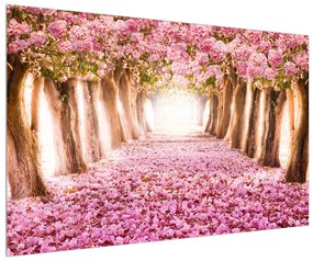 Obraz květinového chodníku (120x80 cm)