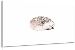 Obraz roztomilý ježek - 60x40 cm