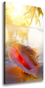 Wallmuralia Vertikální Foto obraz na plátně Mušle na pláži 50x100