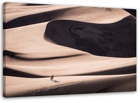 Obraz na plátně Pouštní písek Příroda - 90x60 cm