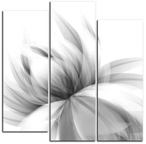 Obraz na plátně - Elegantní květ - čtverec 3147QC (75x75 cm)