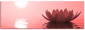 Obraz na plátně - Zen lotus - panoráma 5167CA (105x35 cm)