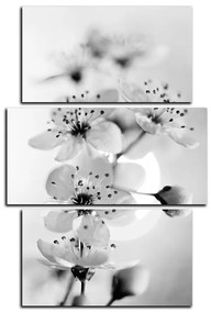 Obraz na plátně - Malé květy na větvi - obdélník 7173QC (120x80 cm)