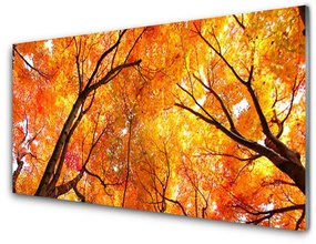 akrylový obraz Stromy Příroda 125x50 cm