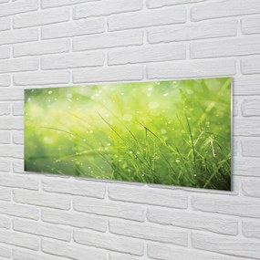 akrylový obraz Tráva kapky rosy 120x60 cm