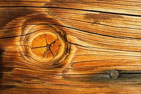 Vliesová fototapeta Dimex Wood XL-540 | 330x220 cm