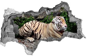 Wallmuralia Fototapeta díra na zeď Tygr na skále 95x73 cm