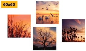 Set obrazů okouzlující příroda - 4x 40x40 cm