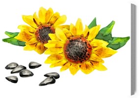 Obraz Květiny A Slunečnicová Semínka Jako Malované Nedostatek Nedostatek Přírodní plátno 120x80