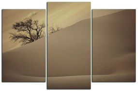 Obraz na plátně - Červené písečné duny 1133FC (120x80 cm)